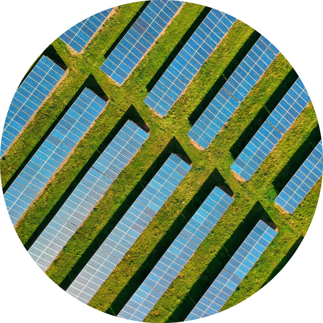 Future Fit - Sustainability Coach